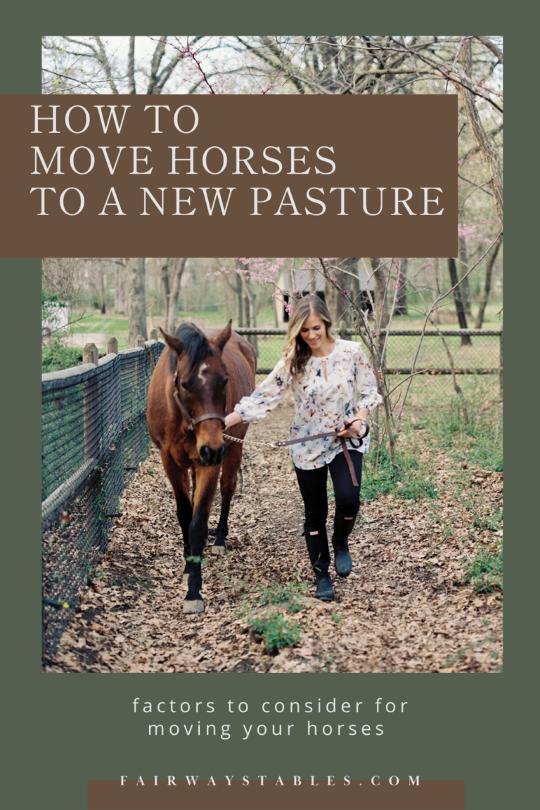 How to Move Horses to a New Pasture - fairwaystables.com