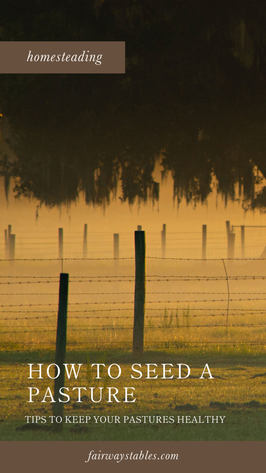 How to Seed a Pasture - fairwaystables.com