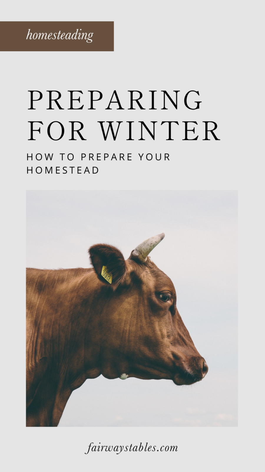 How to Prepare Your Homestead For Winter - fairwaystables.com