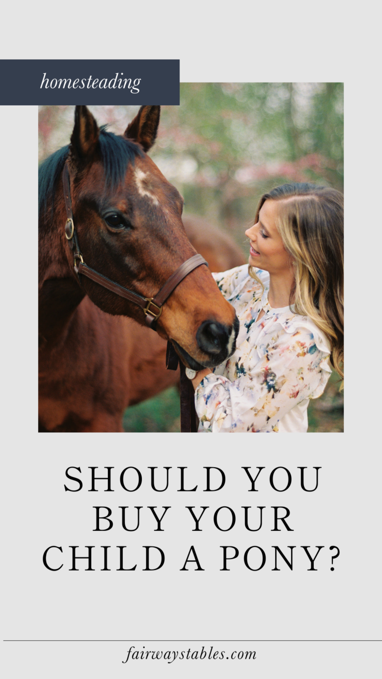 Should You Buy Your Child A Pony? - fairwaystables.com